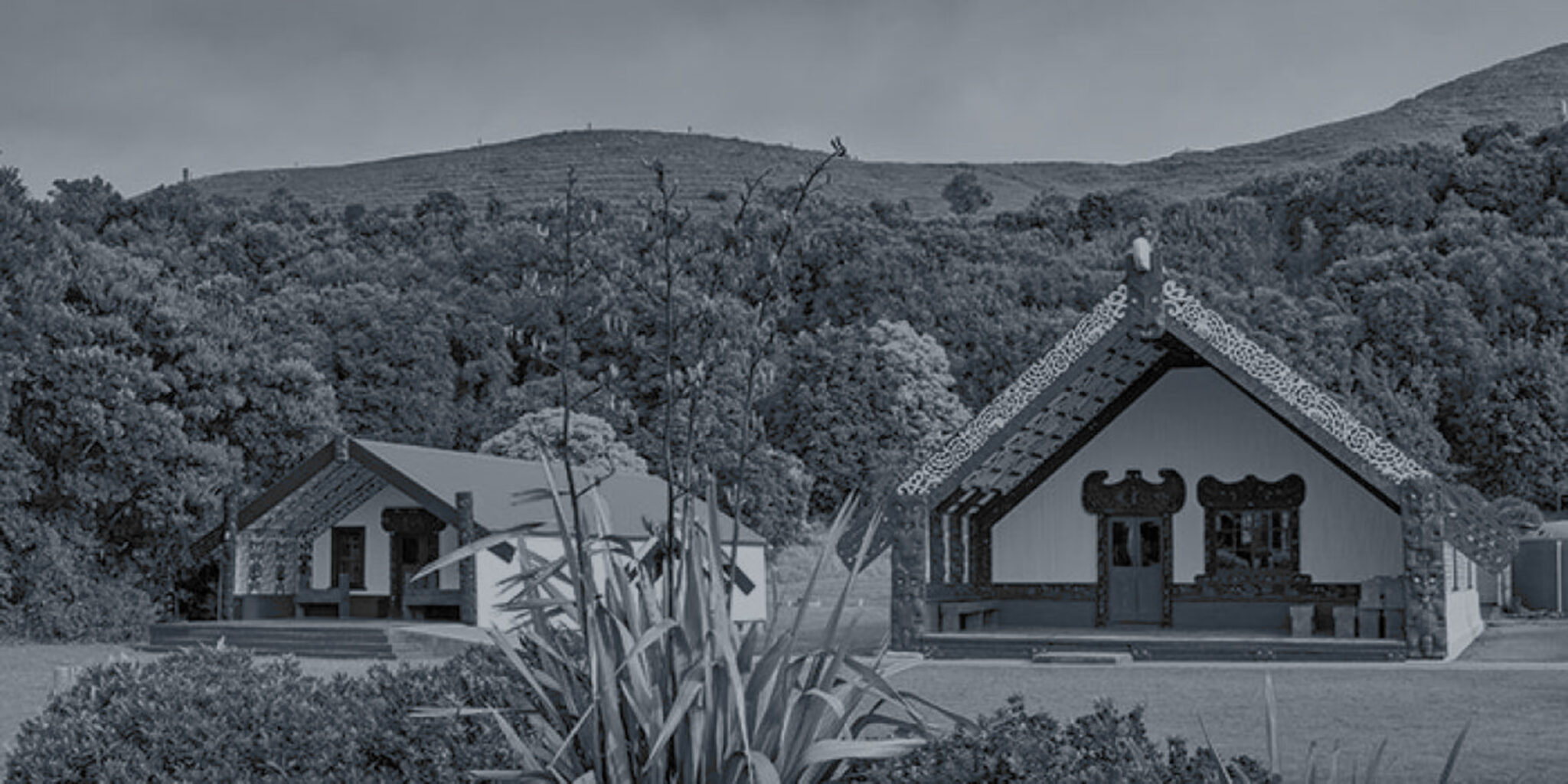Iwi, Hapū & Marae | FIRST72
